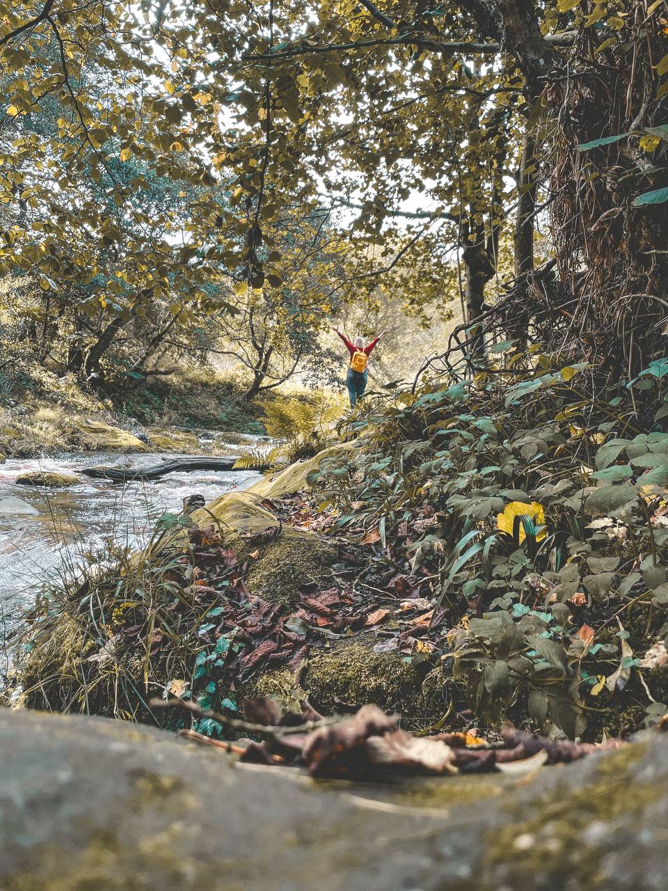 A Day Out in Roslin | Everything You Need to Know - Wonders of Scotland