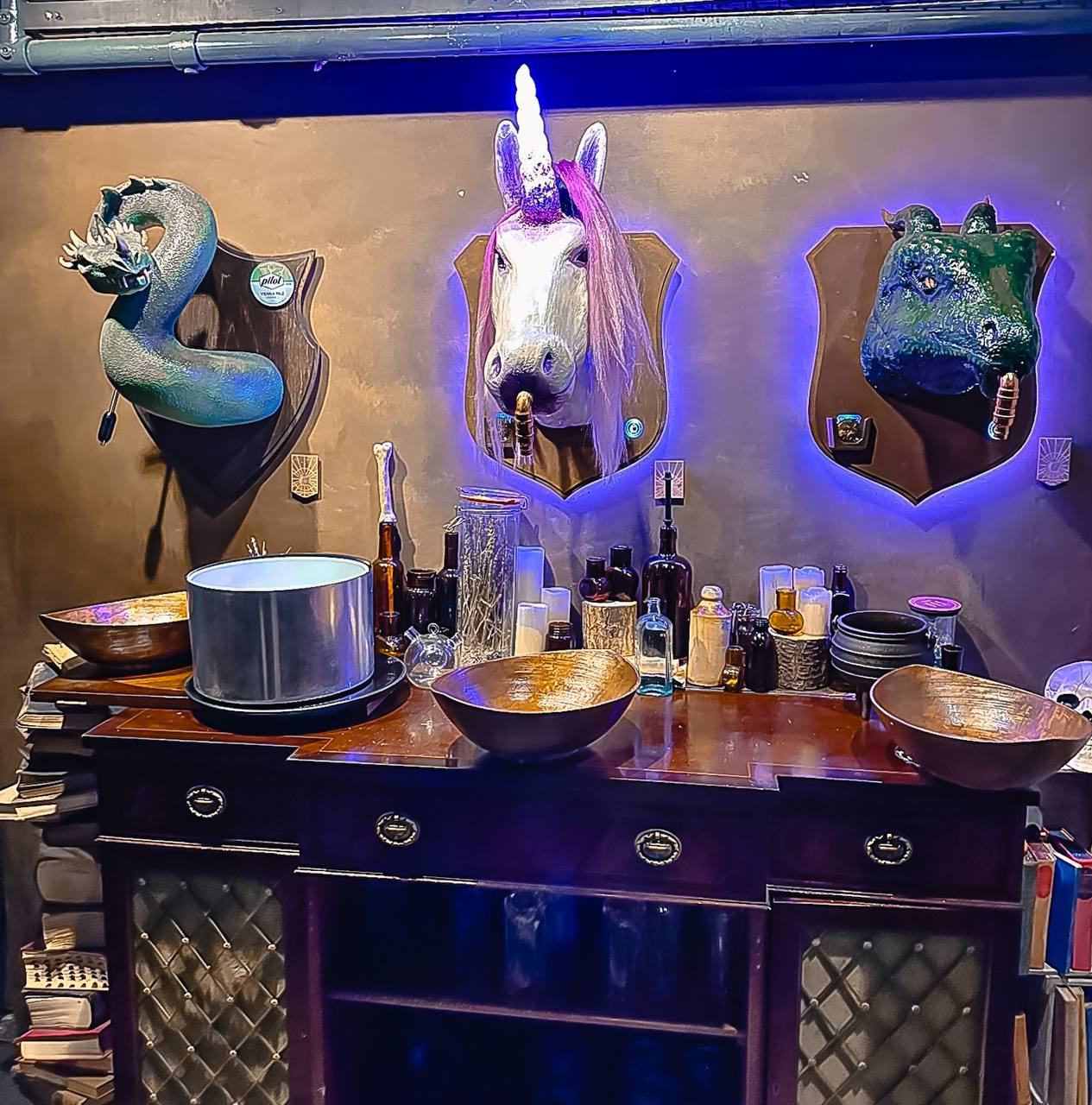 Harry Potter Experience in Edinburgh | The Cauldron